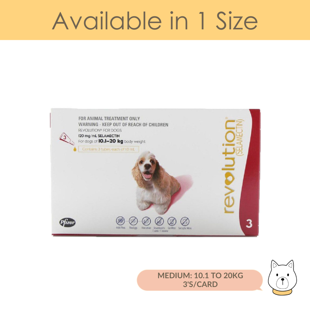 Revolution Flea and Ticks for Medium Dog (10.1–20kg/Red) — WSN ...